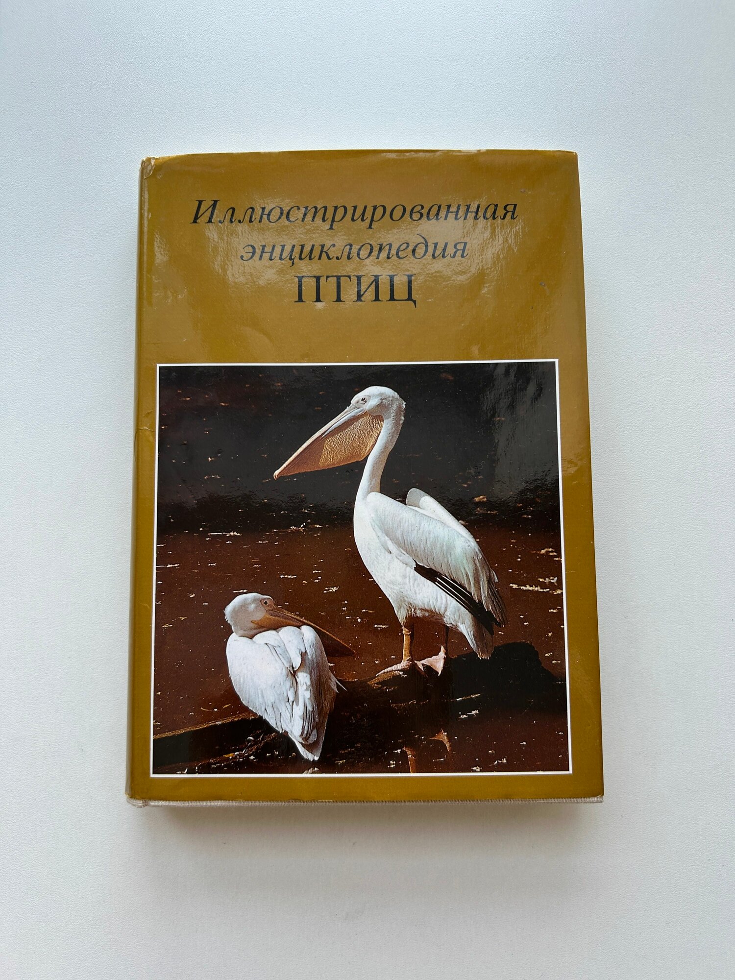 Книга "Иллюстрированная энциклопедия птиц". Издание 1990 года
