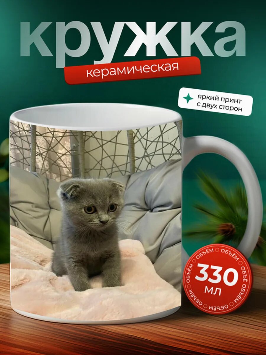 Кружка Британский серебристый кот 24,
