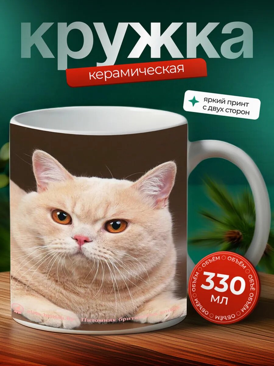 Кружка Британский бомбей кот 32,