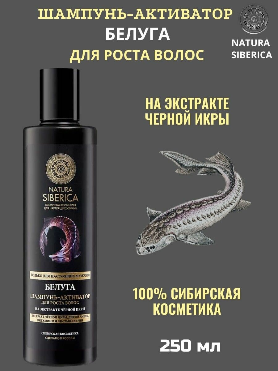 Шампунь-активатор Natura Siberica Men для роста волос Белуга 250 мл