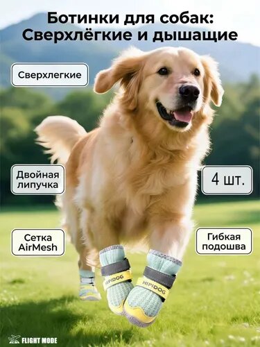 Обувь для собак