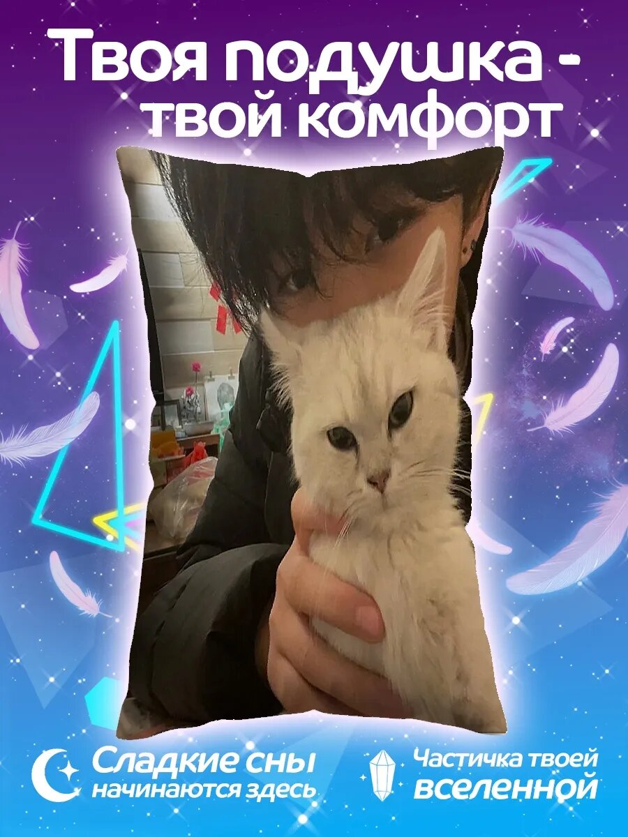 Подушка дакимакура Парень с котом