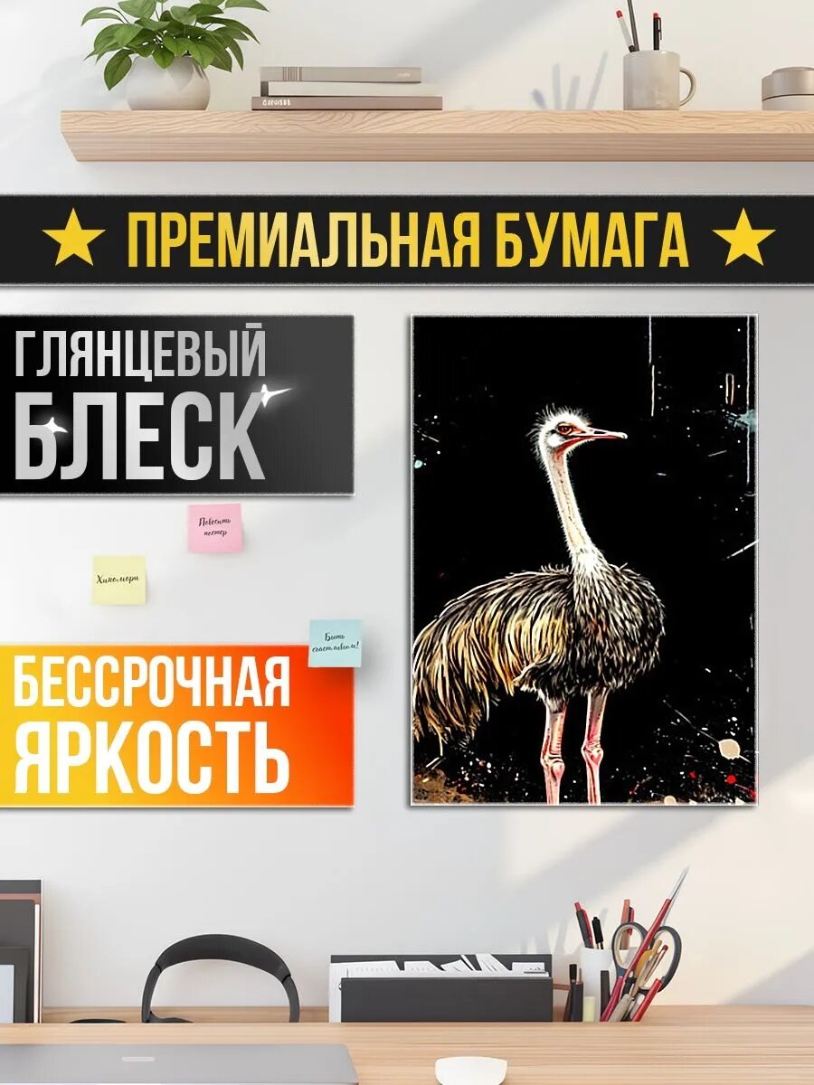 Постер на стену Страус — фото 1