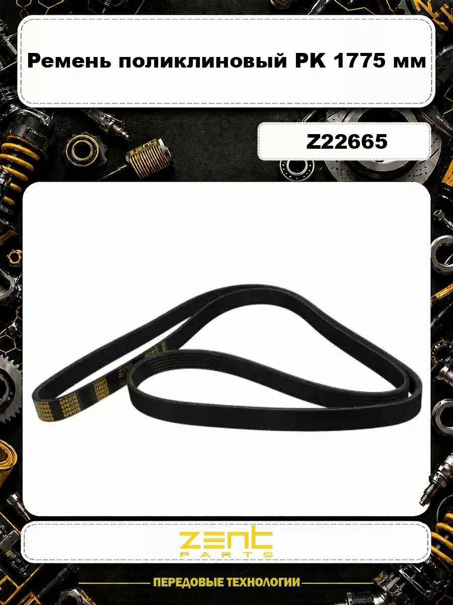 Ремень поликлиновый ZENTPARTS Z22665 PK 1775 мм