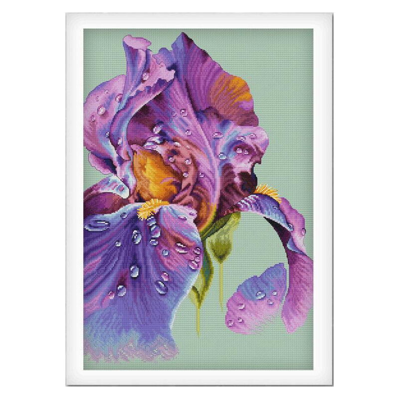 Bышивка крестом для начинающих Amishop "Ирис Пурпурный рассвет" 14CT Aida, 180 x 260 стежка, 33 x 48 см, 54 цветов