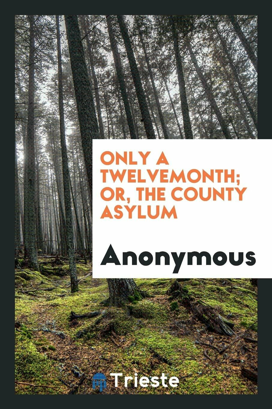 Only a twelvemonth. or, The county asylum