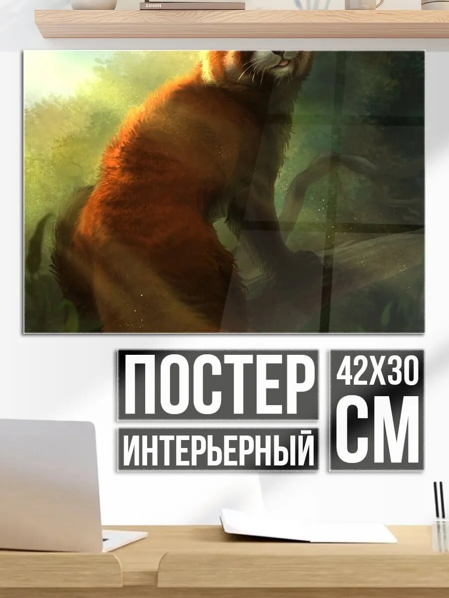 Плакат постер Красная панда в лесу