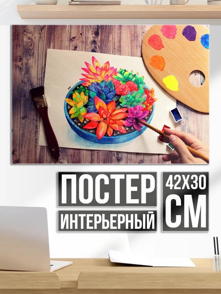 Плакат постер Цветные суккуленты арт