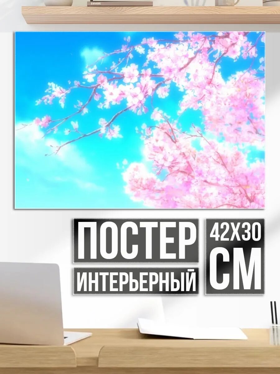 Плакат постер цветущая сакура