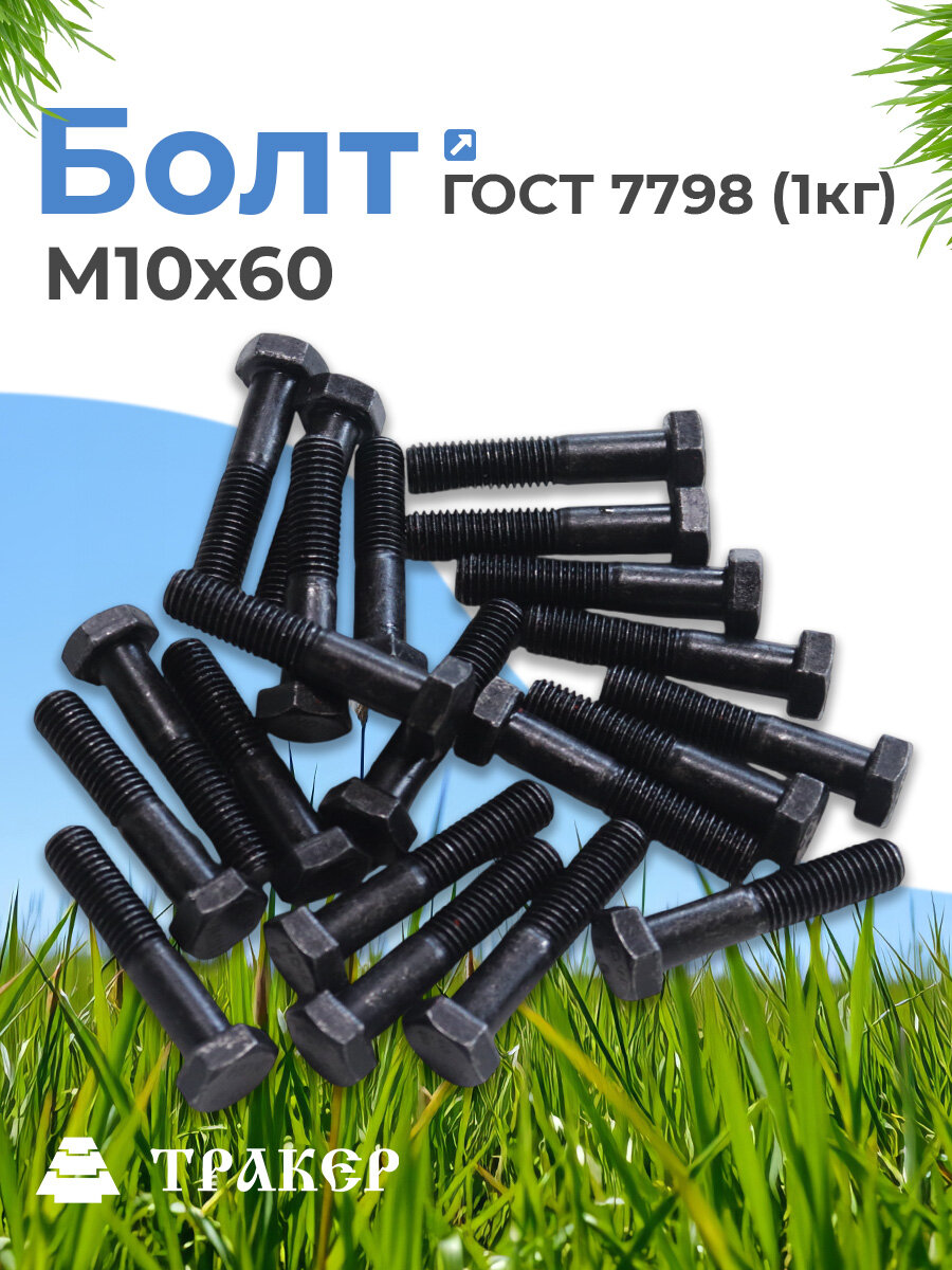 Болт шестигранный М10х60 ГОСТ 7798, 1 кг
