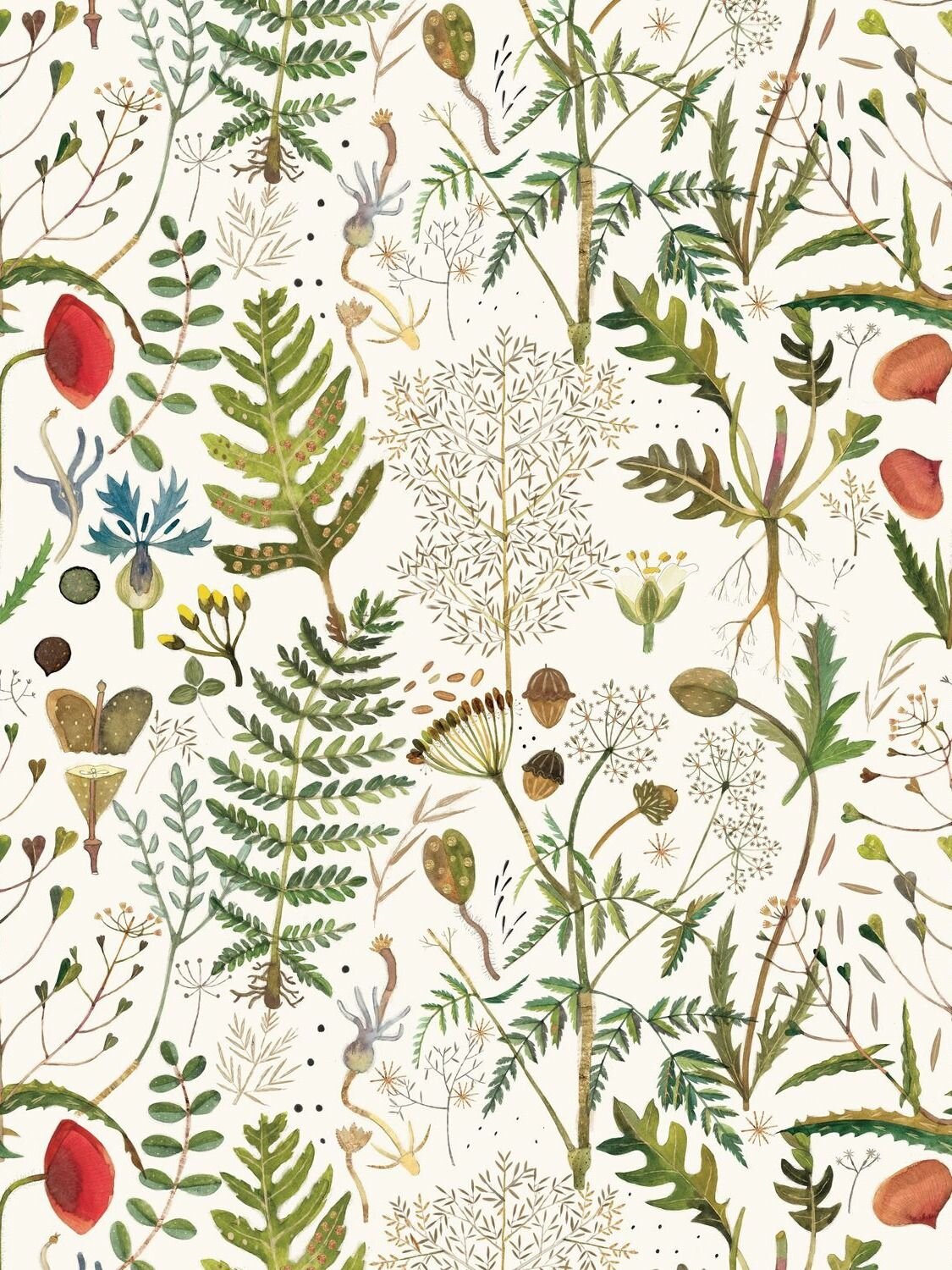 Упаковочная бумага для подарков "FLORA. Луговые травы" BrunoVisconti, 70 х100 см/ подарочная бумага