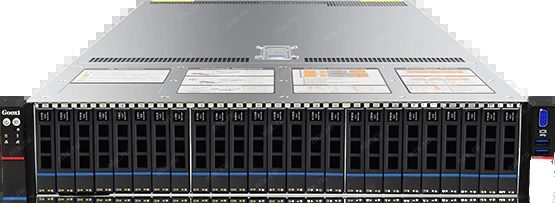 Gooxi SR201-D25RE-G2 <0.96.002.1049>