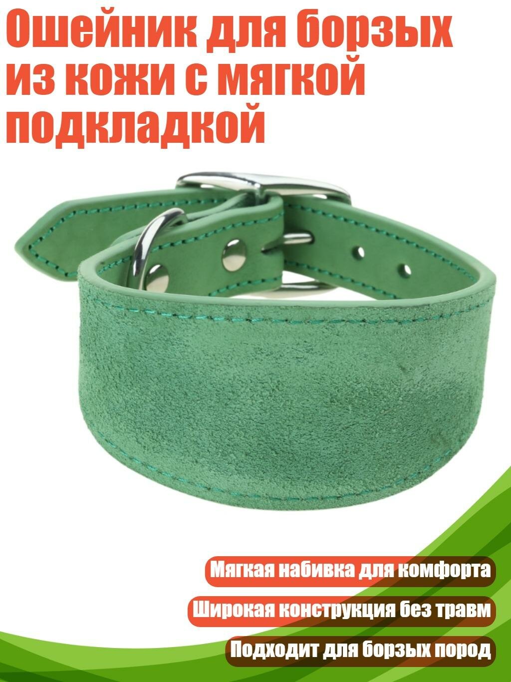 Ошейник для борзых из кожи с мягкой подкладкой, Изумруд - L