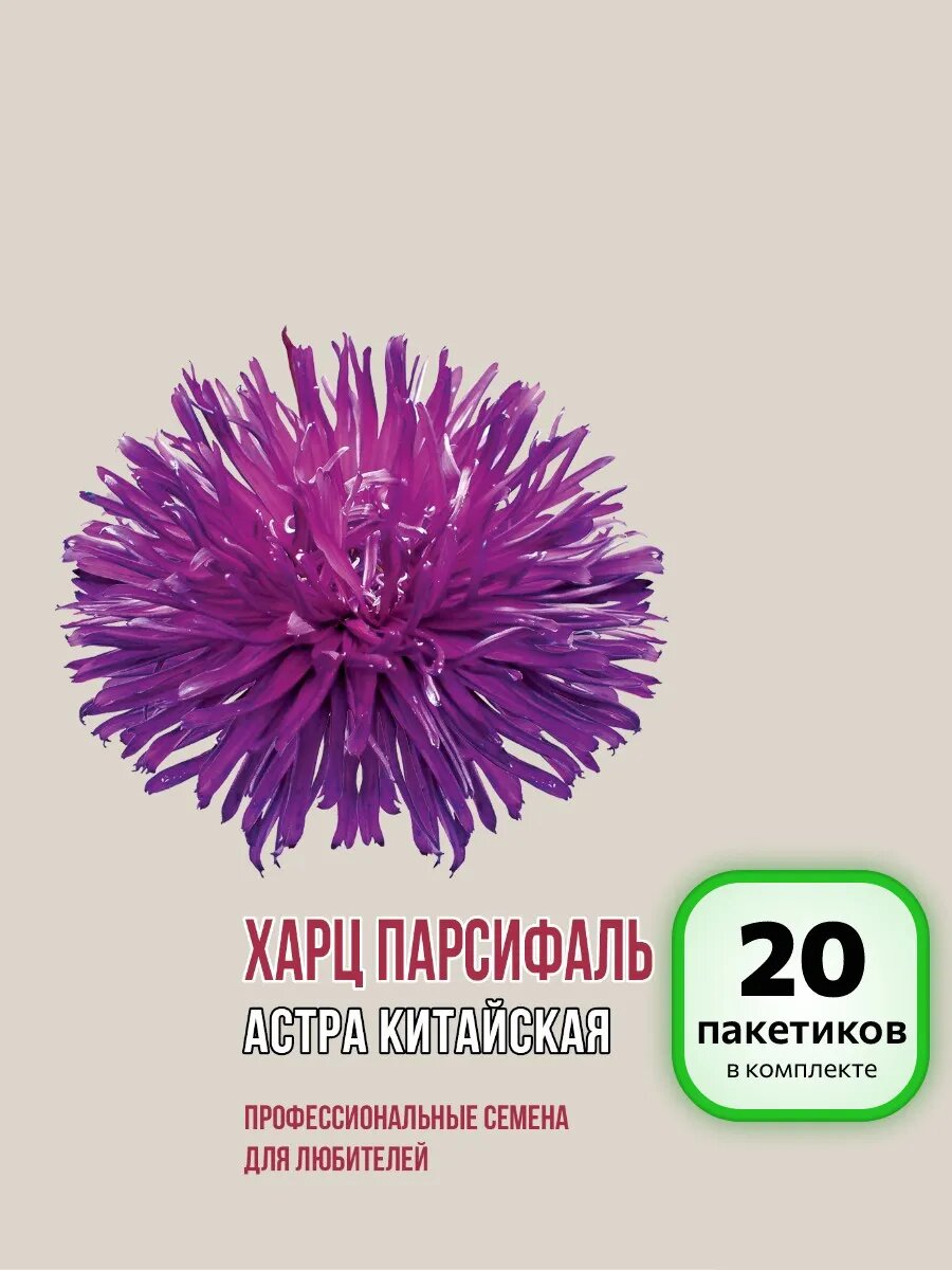 (20 шт.) - Семена Астра китайская харц парсифаль 0,2г