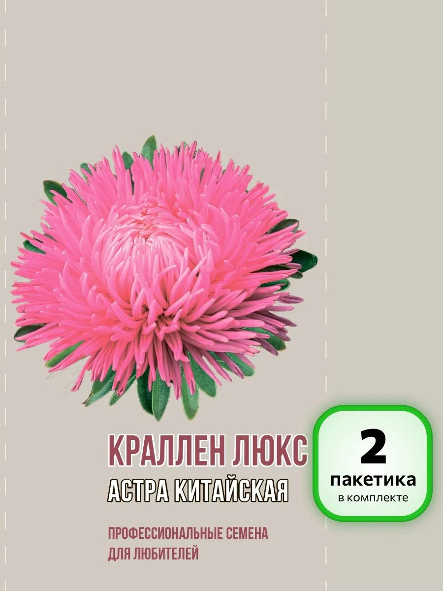 (2 шт.) - Семена Астра китайская караллен люкс 0,2г
