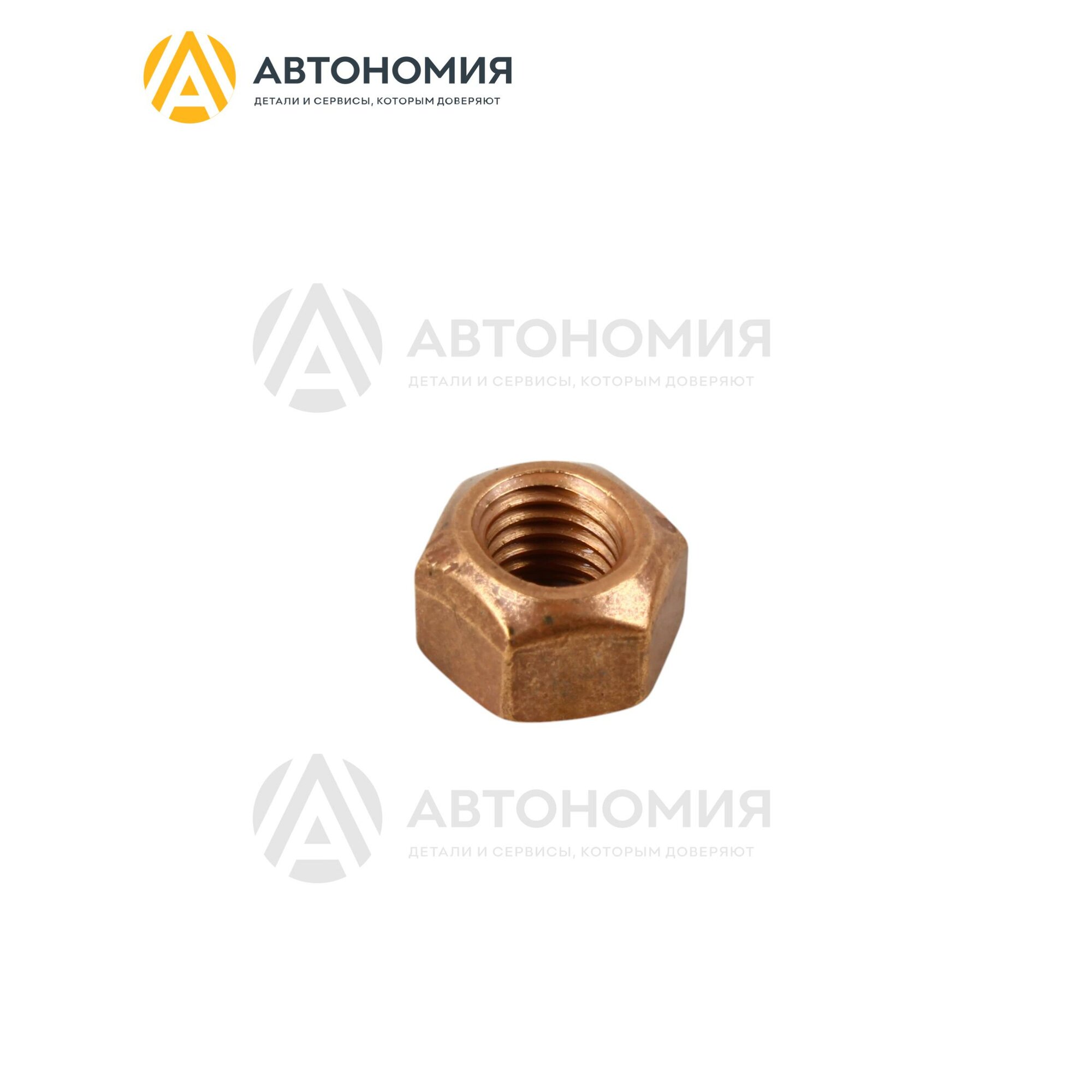 Гайка крепления глушителя M10 VAG N 102 090 07