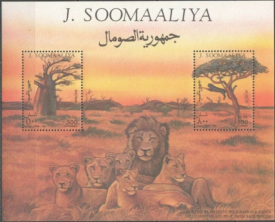 Марки 1994 год Сомали Дикие Кошки Деревья Бава Фауна Bl34 Mnh