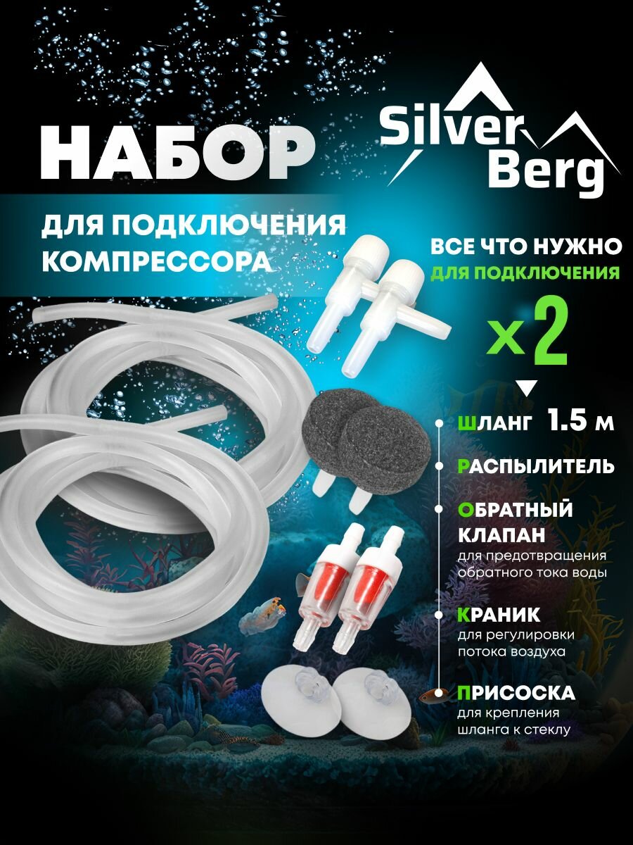 Набор аксессуаров Silver Berg для подключения компрессора, двойной: два распылителя, два обратных клапана, два краника, воздушная трубка