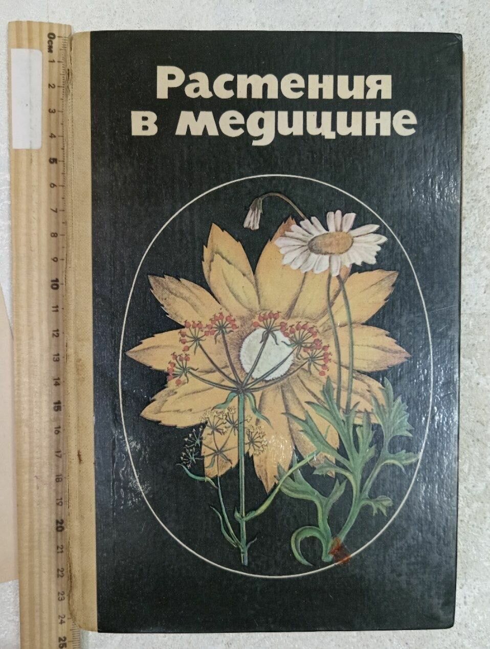 Растения в медицине