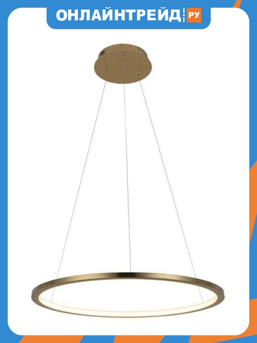Подвесной светильник Loft IT Ring 10014M