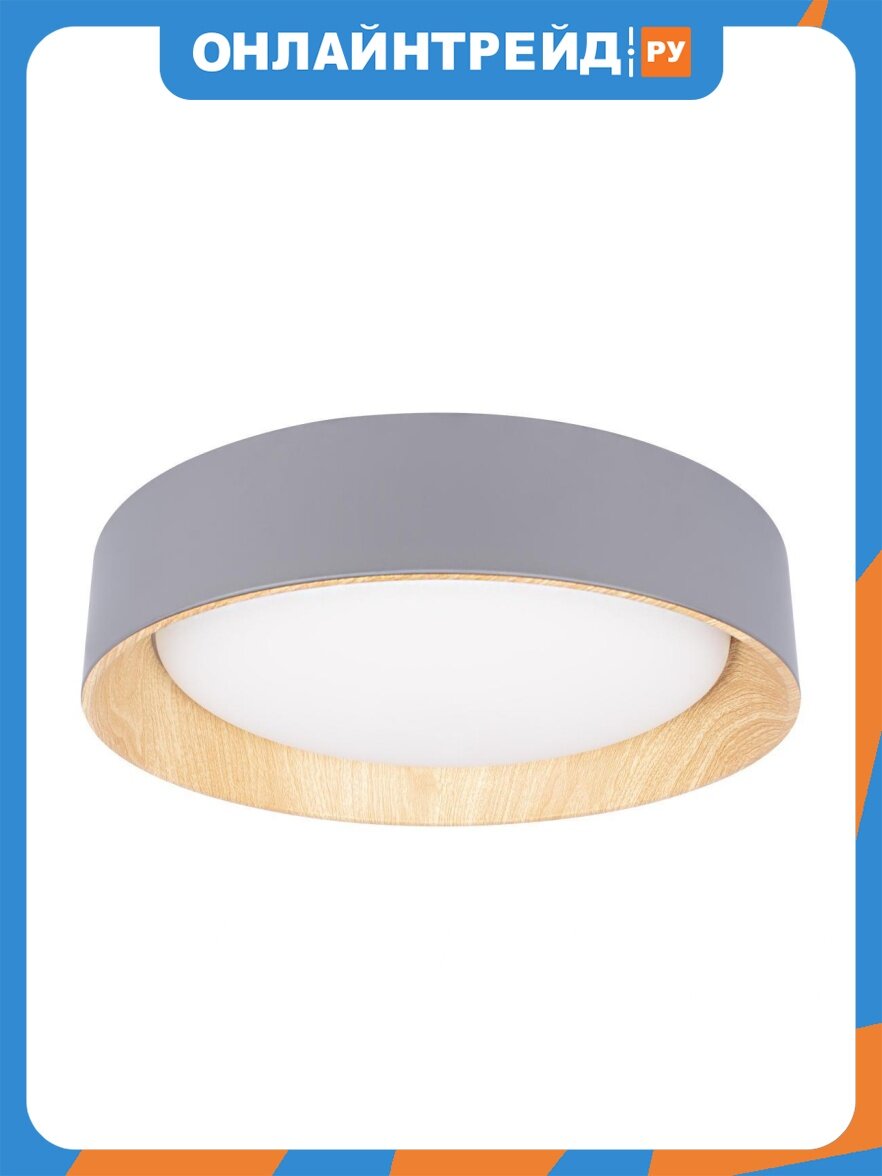 Потолочный светодиодный светильник Loft IT Coin 10202 Grey