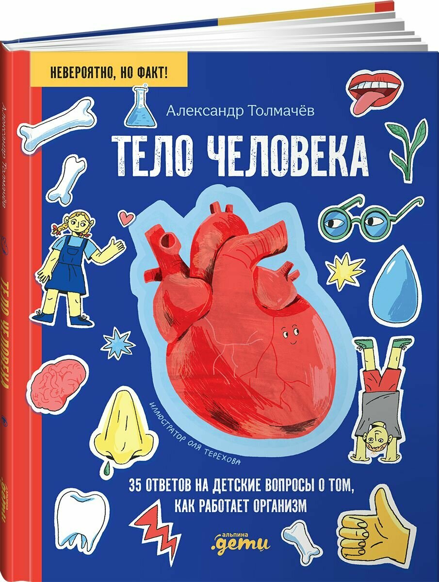 Книга "Тело человека. 35 ответов на детские вопросы о том, как работает организм" / Толмачёв Александр Вячеславович
