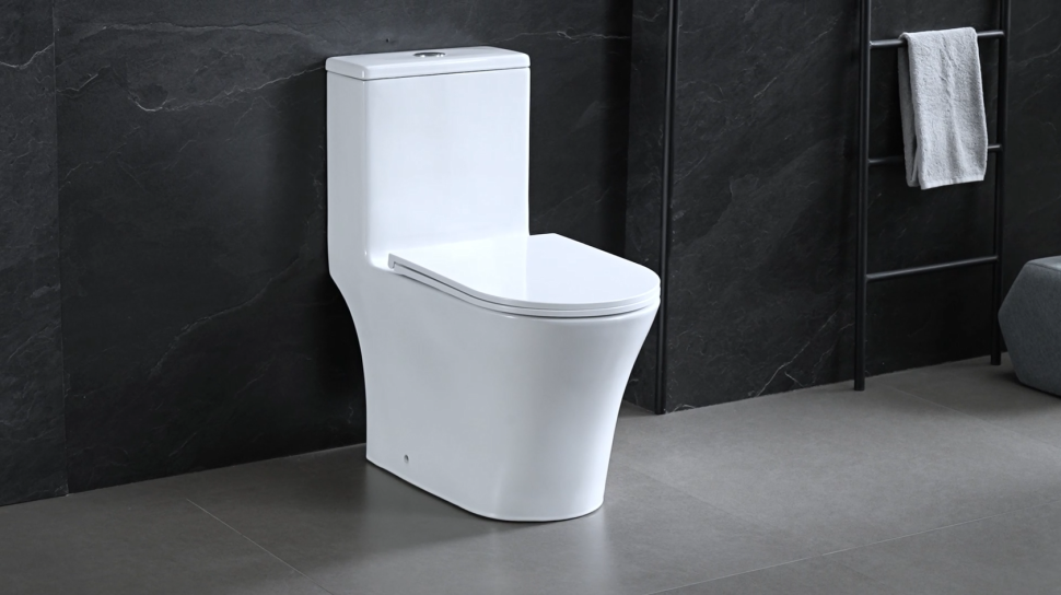 Унитаз-моноблок CeramaLux TR455MN(80687) цвет Белый с сиденьем Микролифт