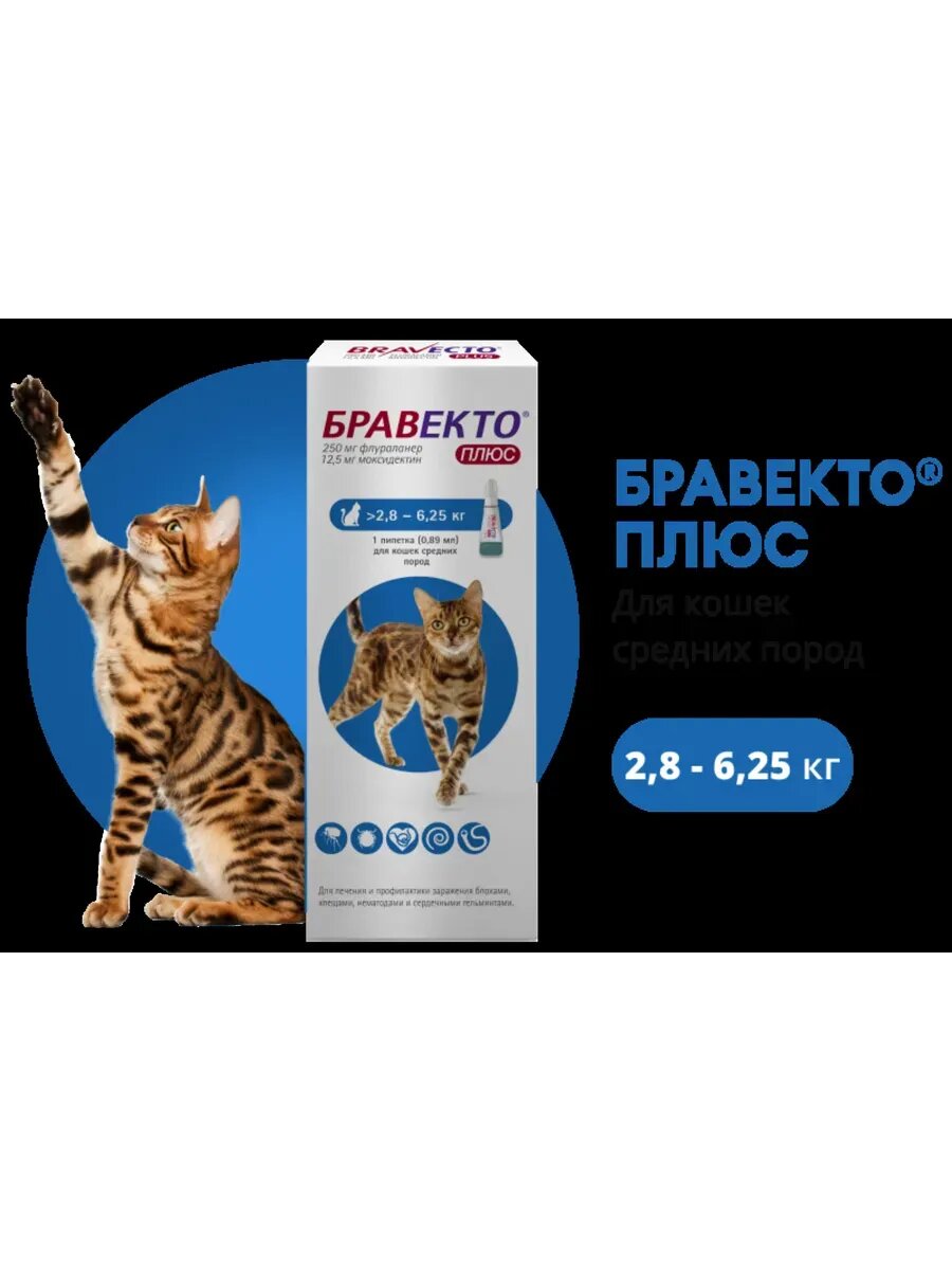 Бравекто дуакт (плюс) капли от клещей для кошек 2.8-6.25 кг