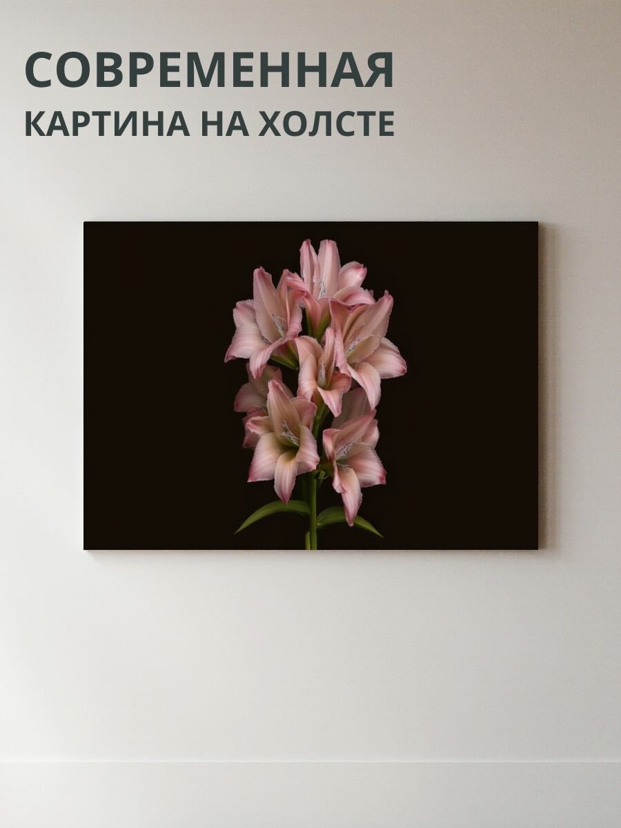 Картина на холсте Розовые цвета 70x50 см