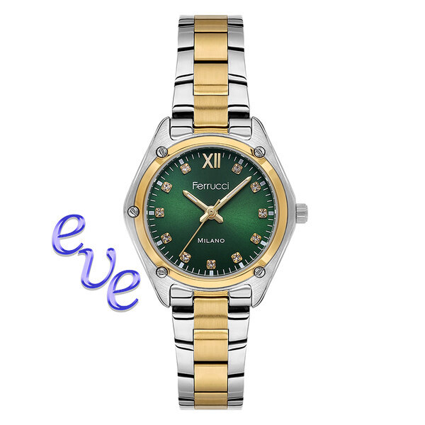 Наручные часы Ferrucci 3684-02