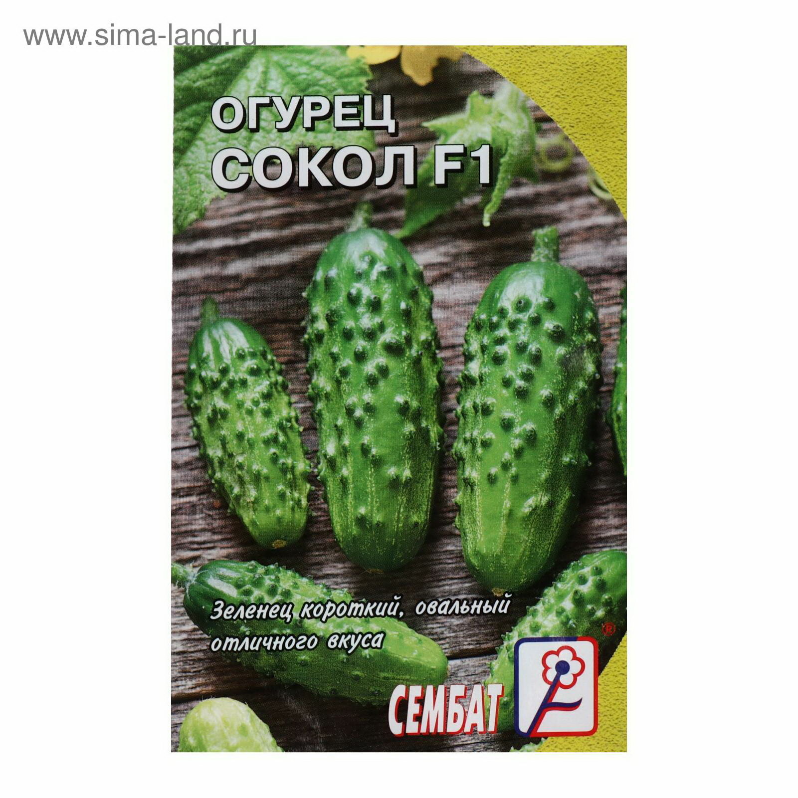 Семена Огурец "Сокол", F1, 0.2 г, сроки созревания: ранний, посев на рассаду: апрель, 10 шт.