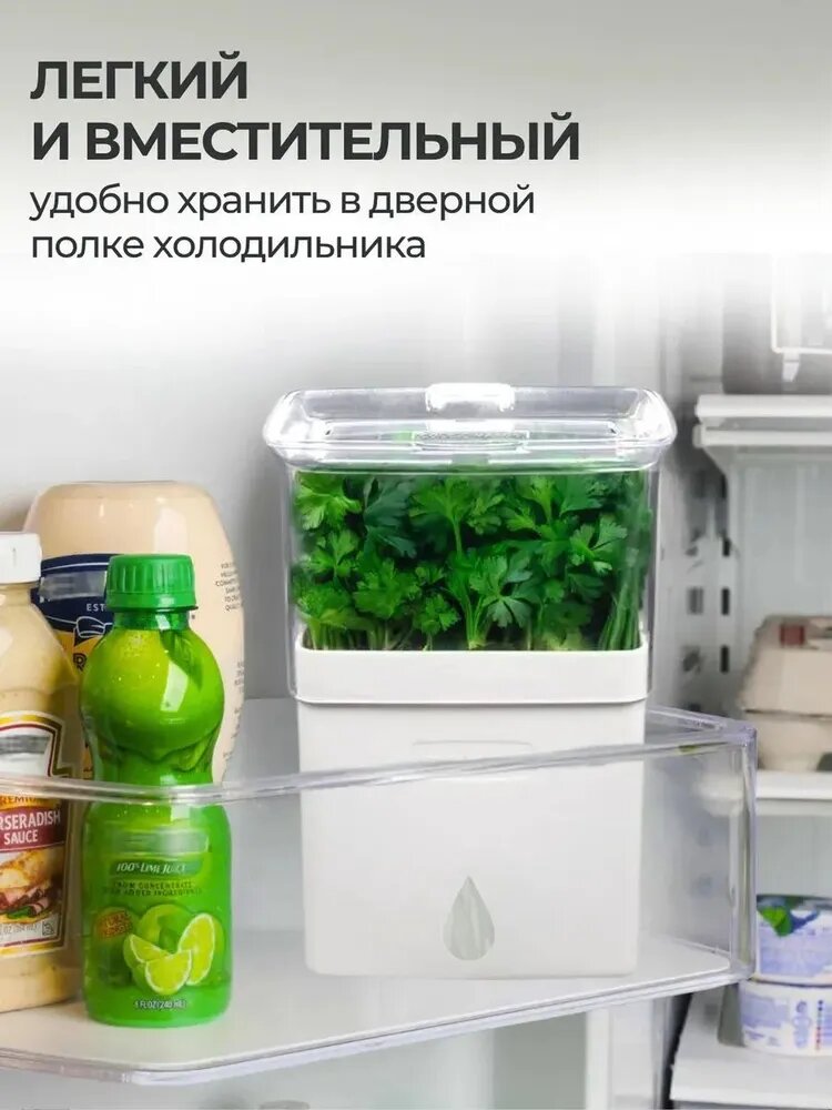 Крышка для контейнера — фото 1