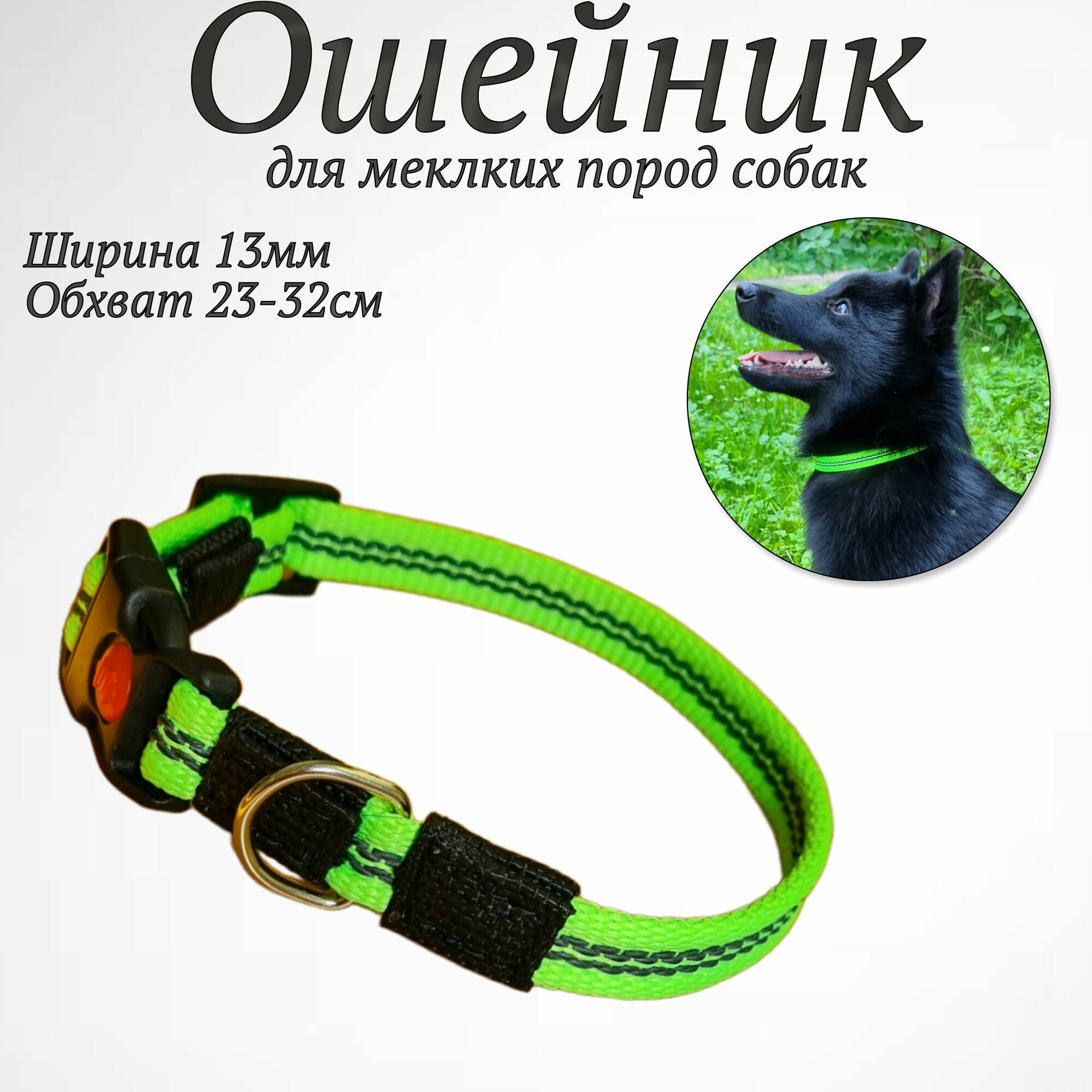 Ошейник для собак мелких пород и кошек. Обхват 23-32см.
