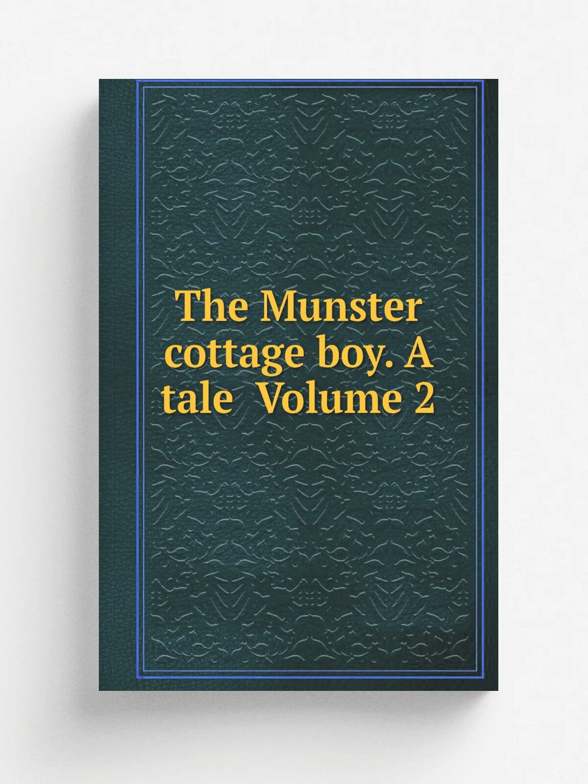 The Munster cottage boy. A tale Volume 2