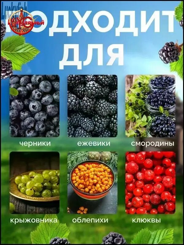 Плодосборникх14х10см — фото 1