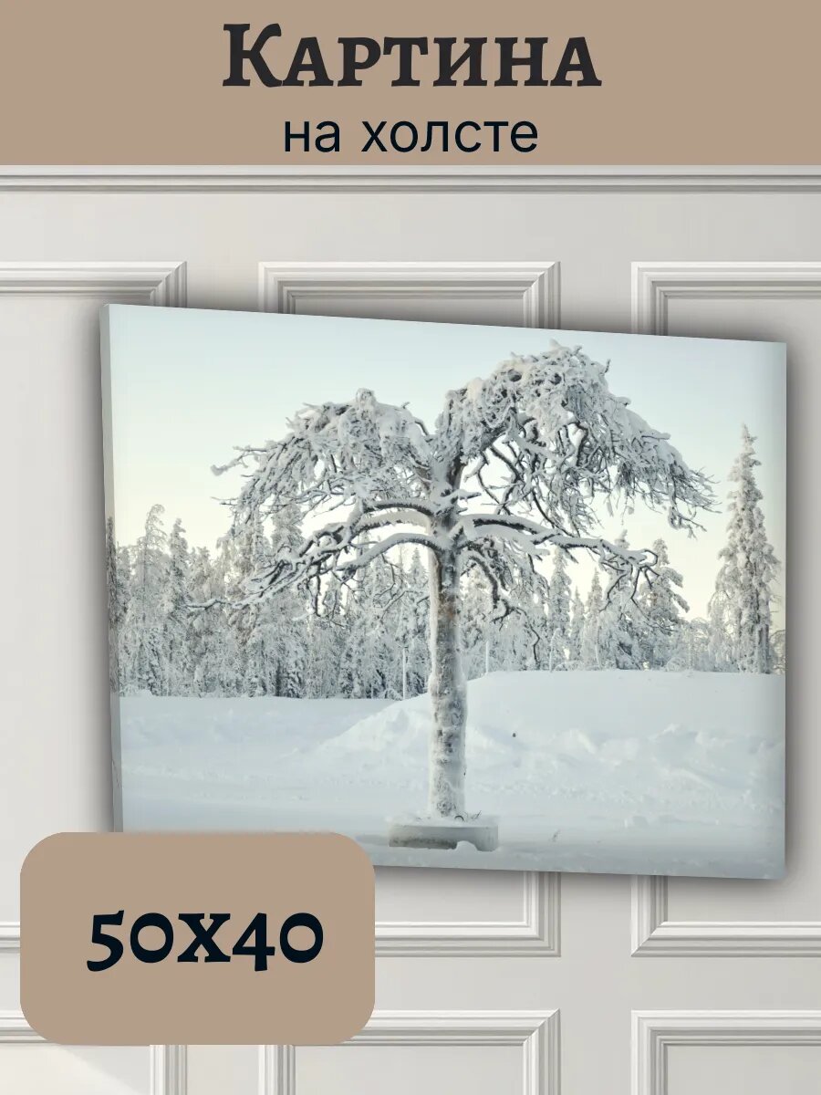 Картина Финляндия Finland 40x50 зимний лесной пейзаж