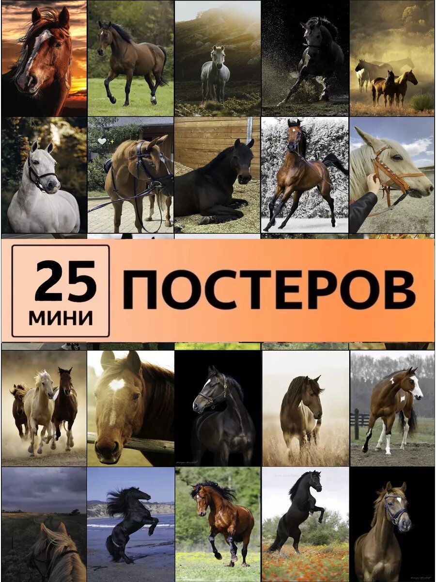 Лошадь символ 2026 года постеры с лошадьми
