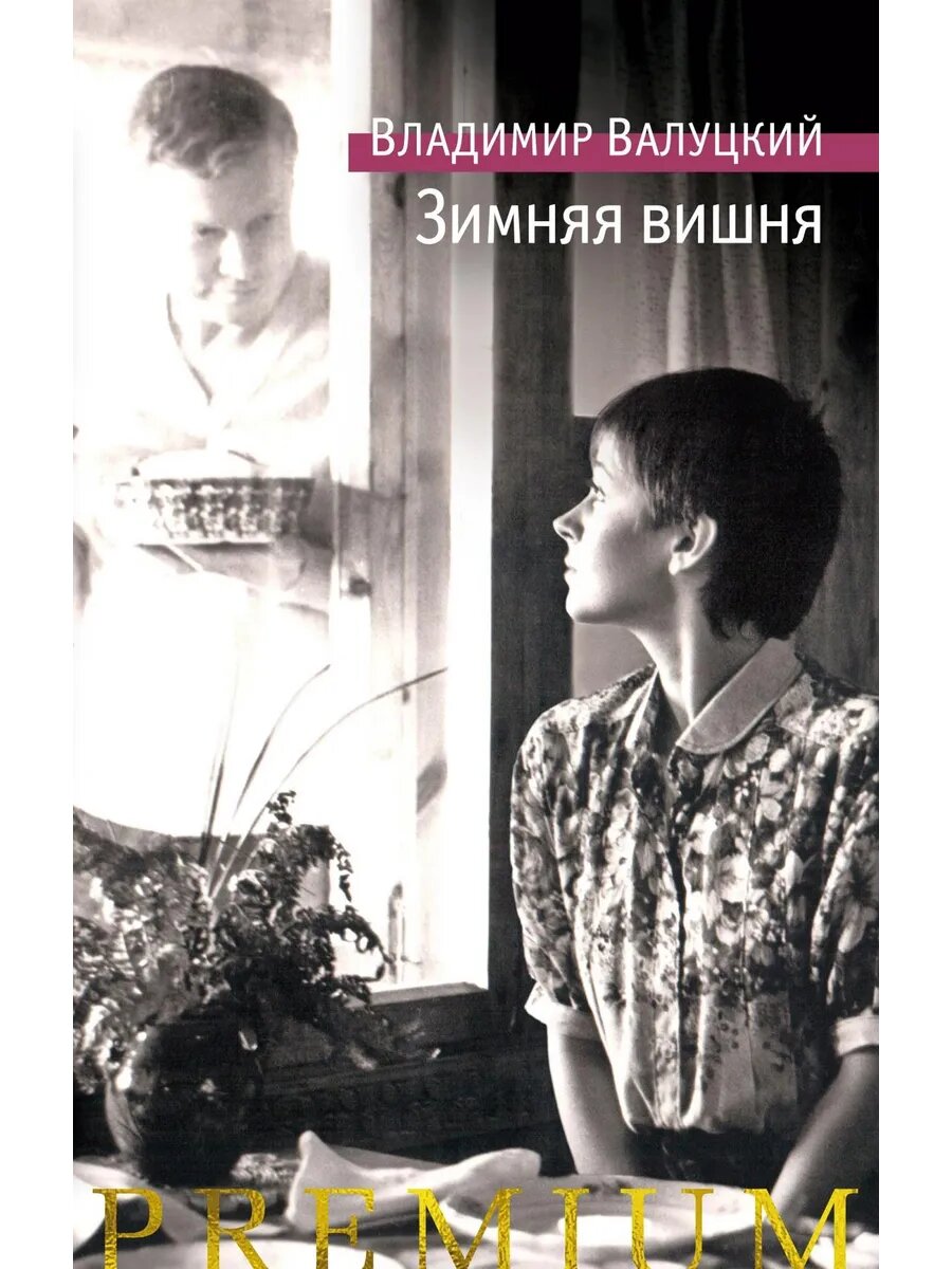 Книга Зимняя вишня