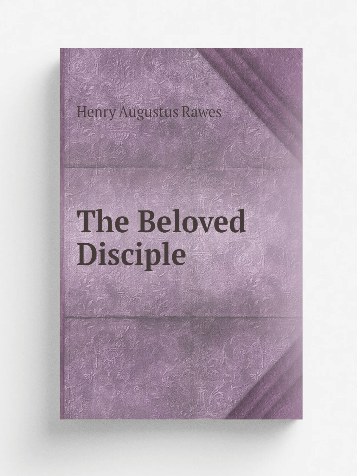 The Beloved Disciple