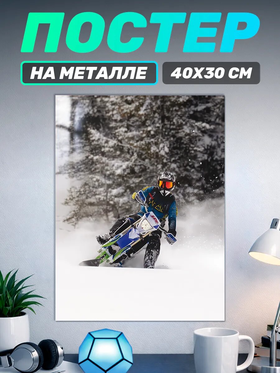 Постер на стену на металле Снегоход