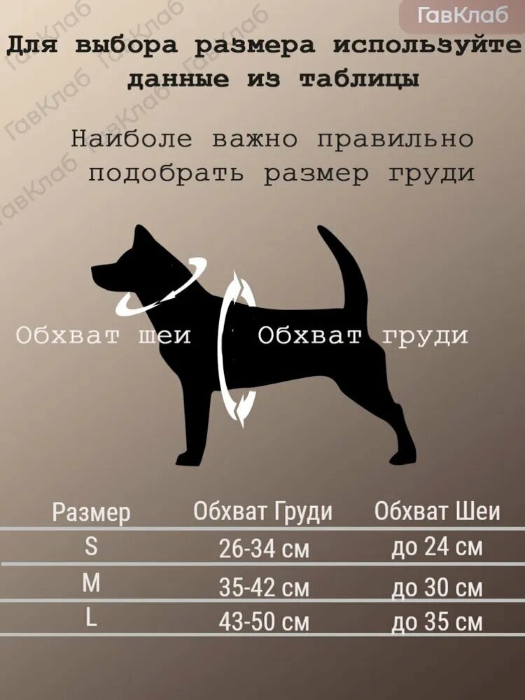 Шлейка — фото 1