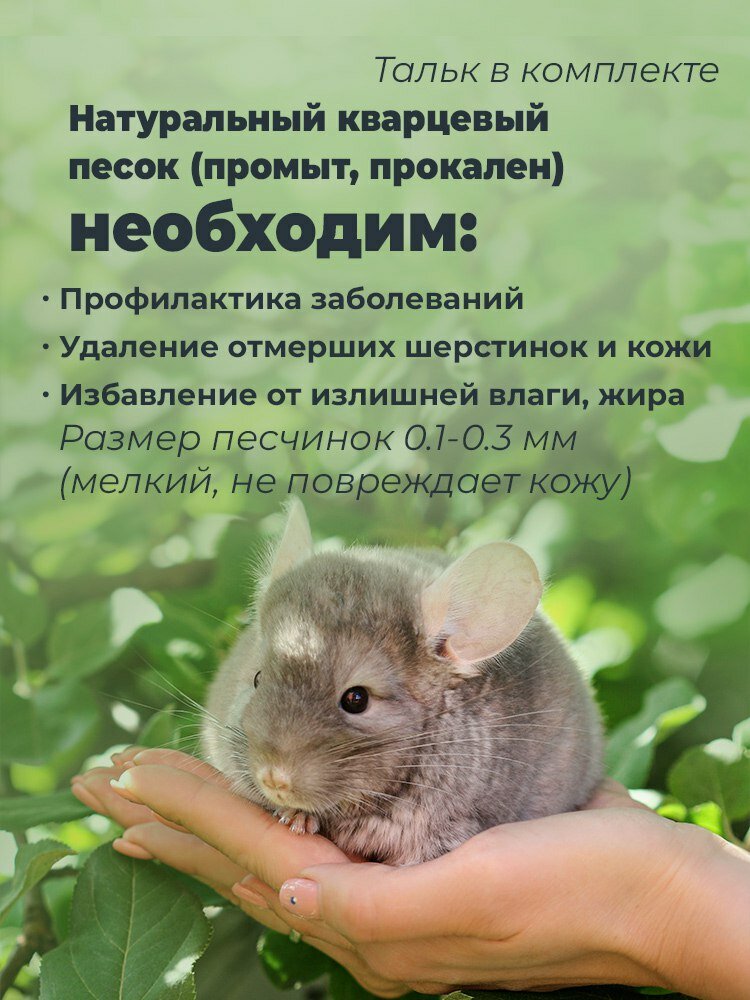 Распродажа — фото 1