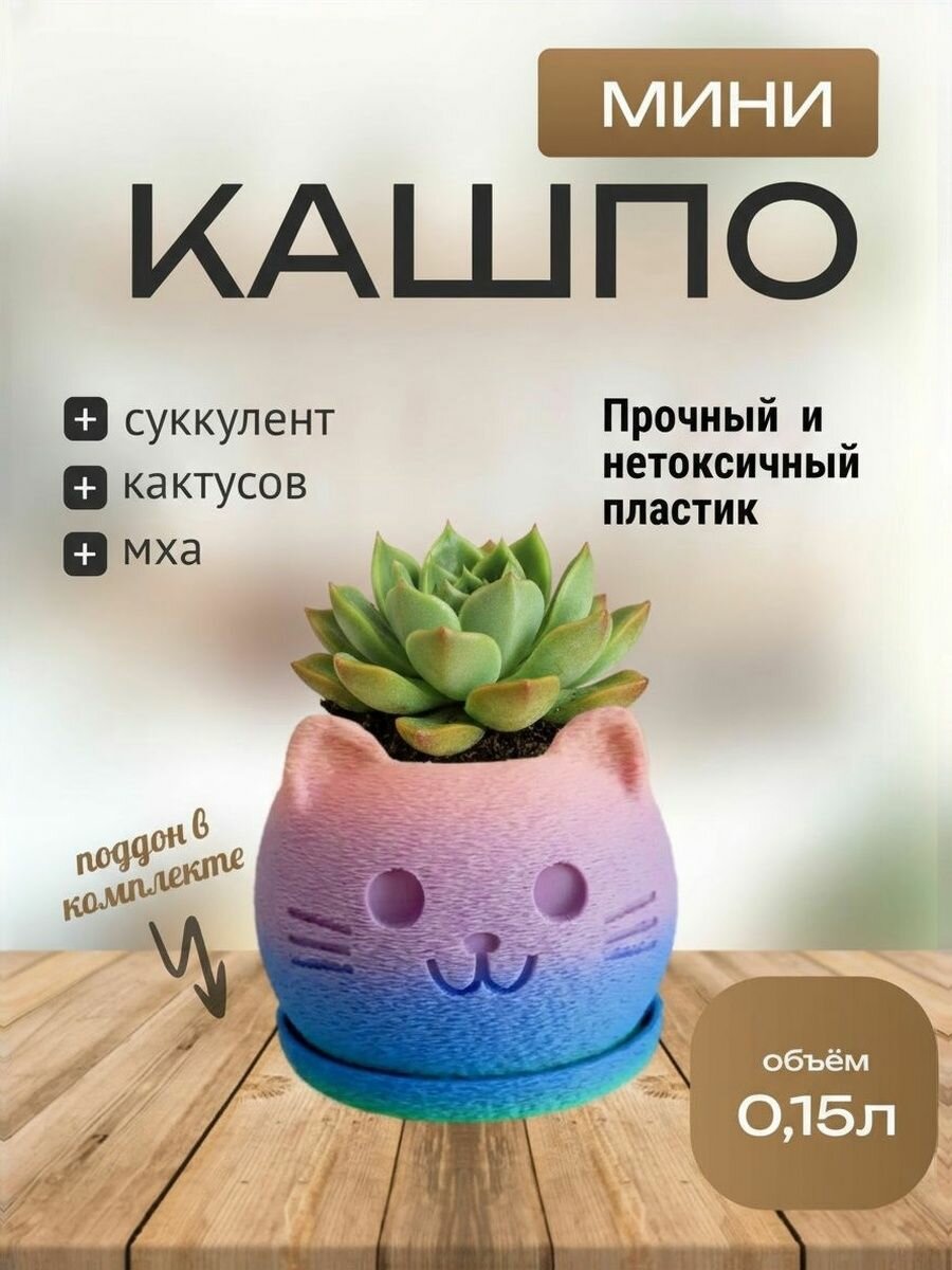 Кашпо мини - "Котик" для кактусов и суккулентов, объем 0,15 л