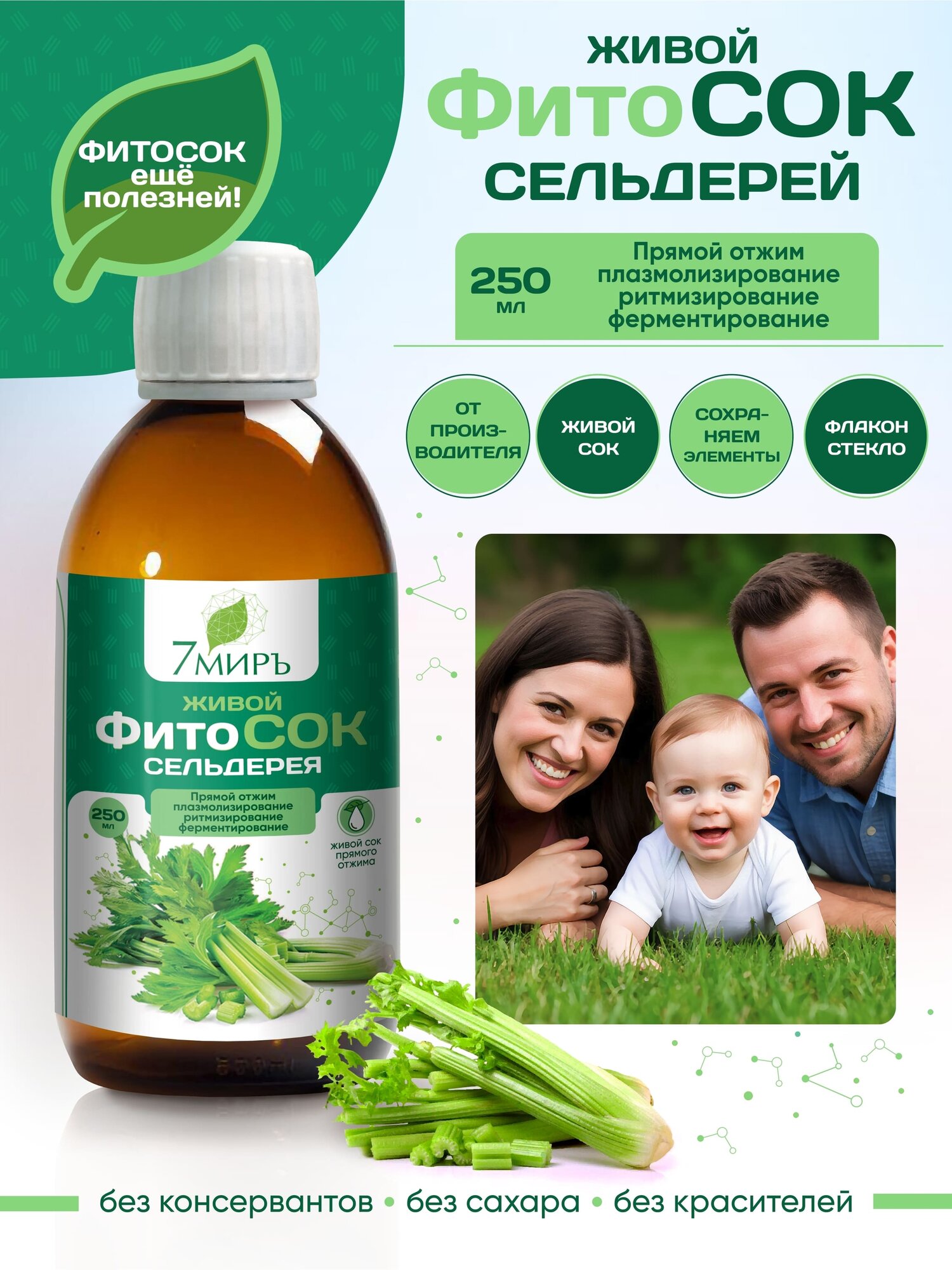 Живой Фито сок Сельдерея прямой отжим + плазмолизирование + ферментирование + ритмизирование, 250 мл 7МИРЪ / органикмиръ