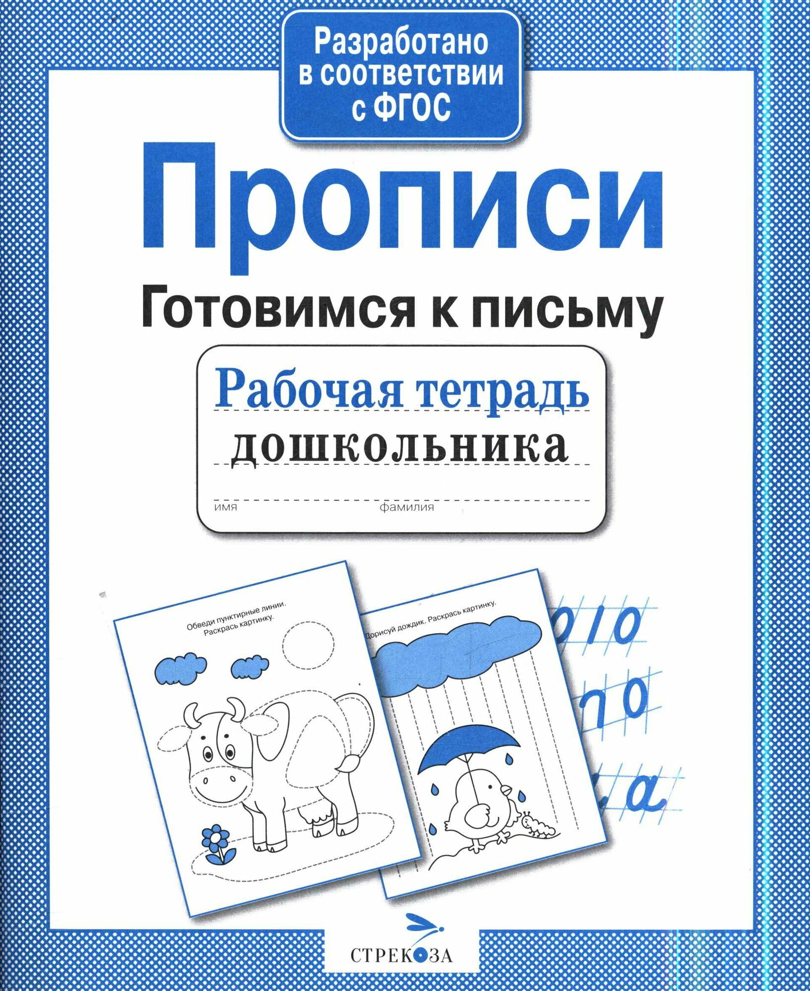 Рабочая Тетрадь Дошкольника Прописи Готовимся к письму