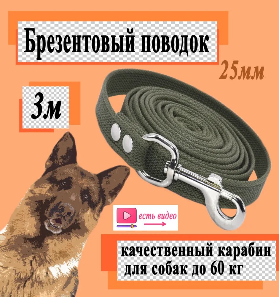 Поводок для собак брезентовый с усиленным карабином, 25мм*3м
