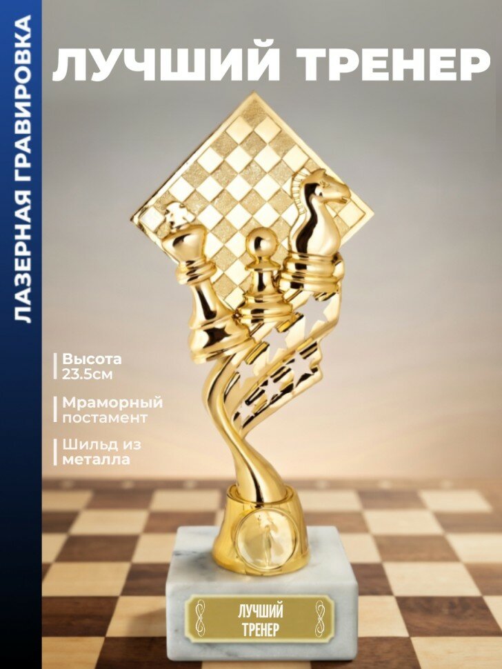 Кубок шахматы "Лучший тренер" (23,5 см)