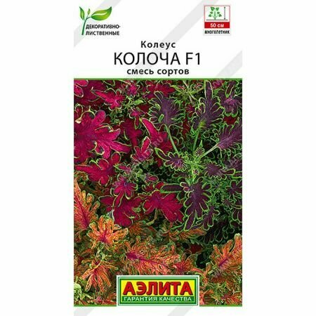 Семена Колеус Колоча смесь - экзотический гибрид. Аэлита