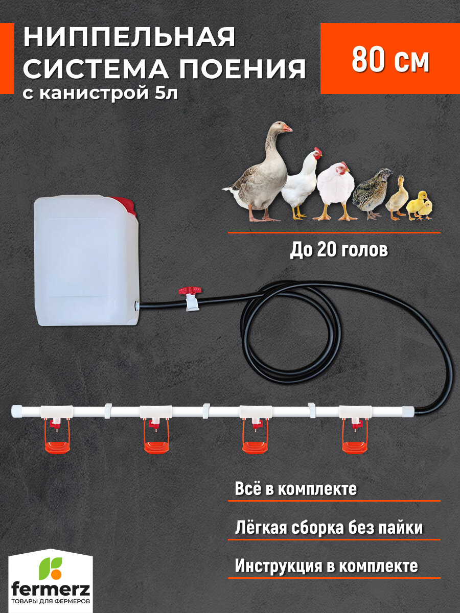 Поилка для кур, система поения НП4 80см с канистрой 5л. Для бройлеров перепелов цыплят индейки цесарок индоутки