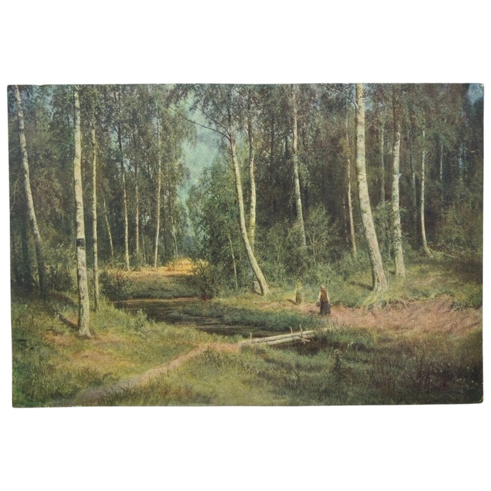 Почтовая открытка "И. И. Шишкин - Полесье" 1955 г. СССР